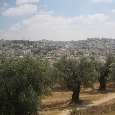 interactive encyclopedia of the palestine question – palquest | highlights